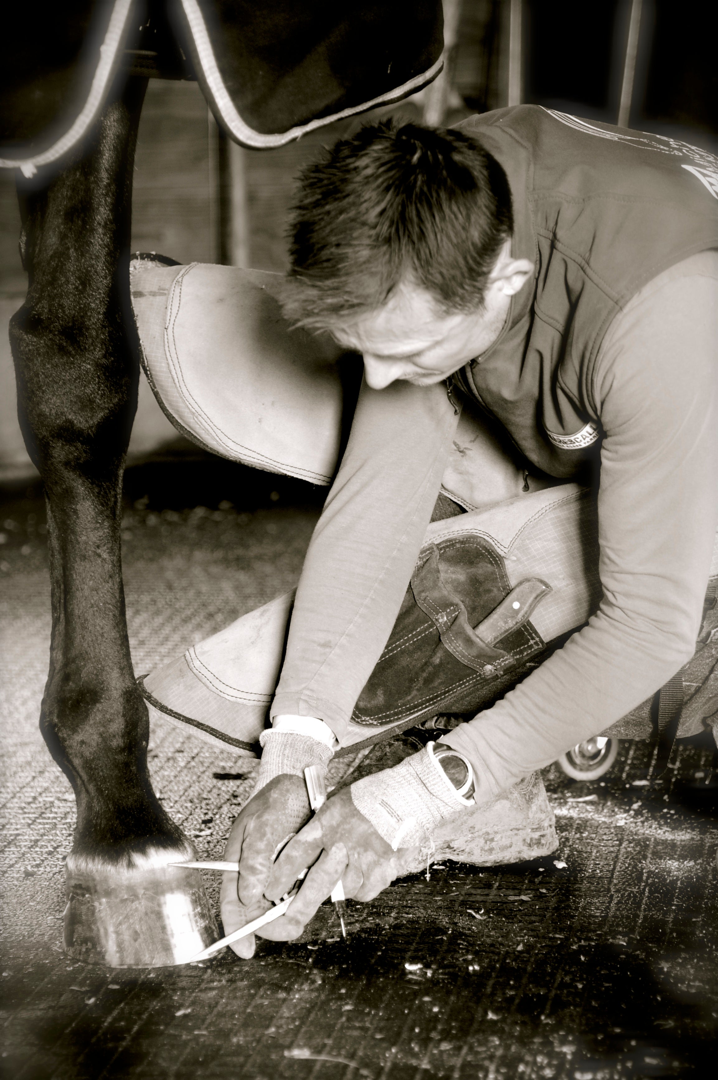 WTS accessories – Thebault Farriery