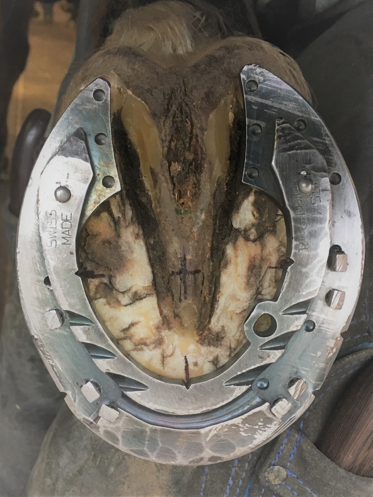 WTS irons range – Thebault Farriery